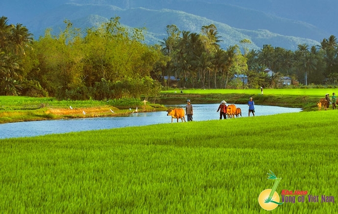 Dòng sông quê em - Kho Tàng Vọng cổ Việt Nam